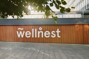 Essen - wellnest.me